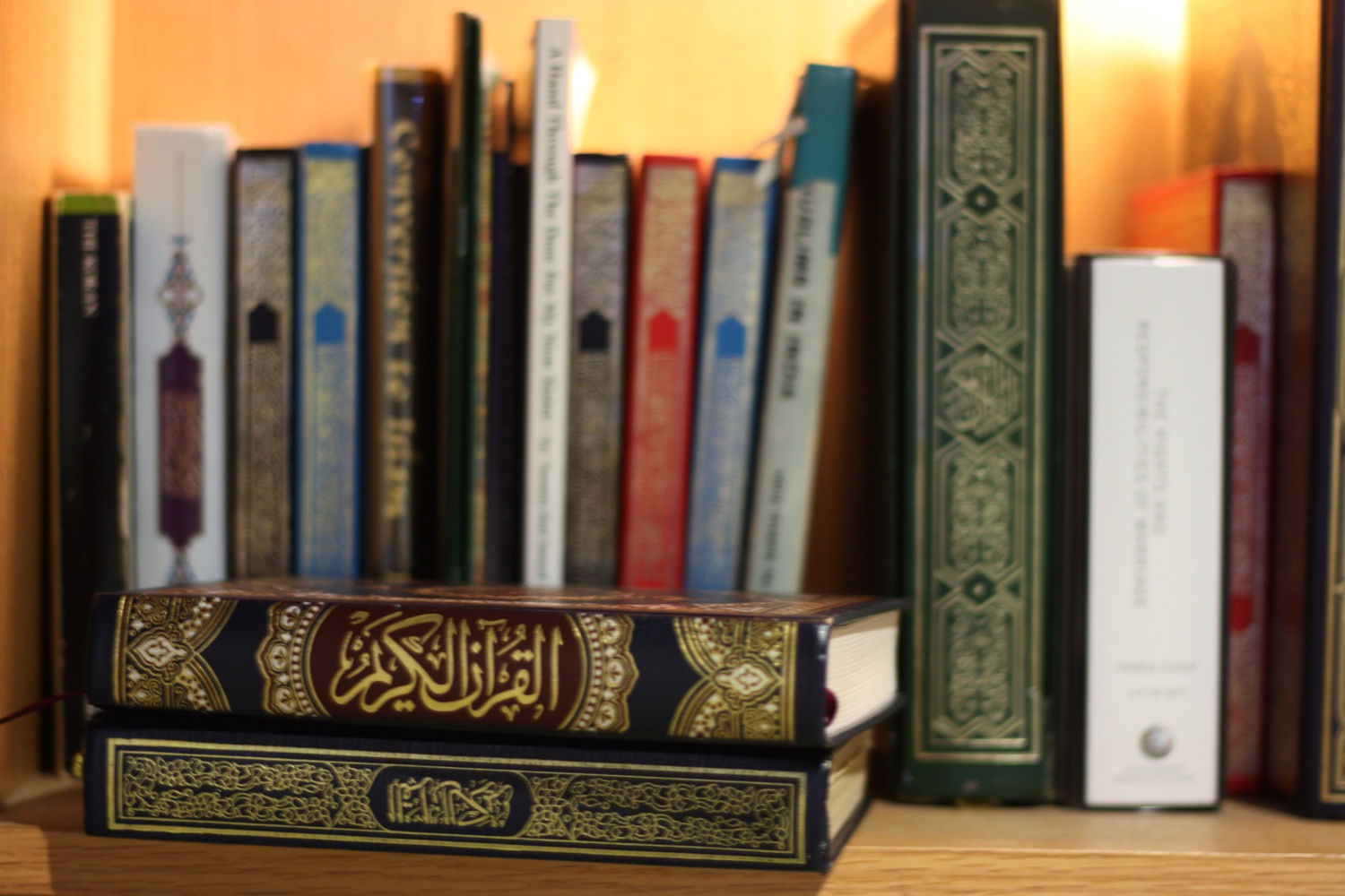 Bookshelf of Qurans | Magazine | The Harvard Crimson