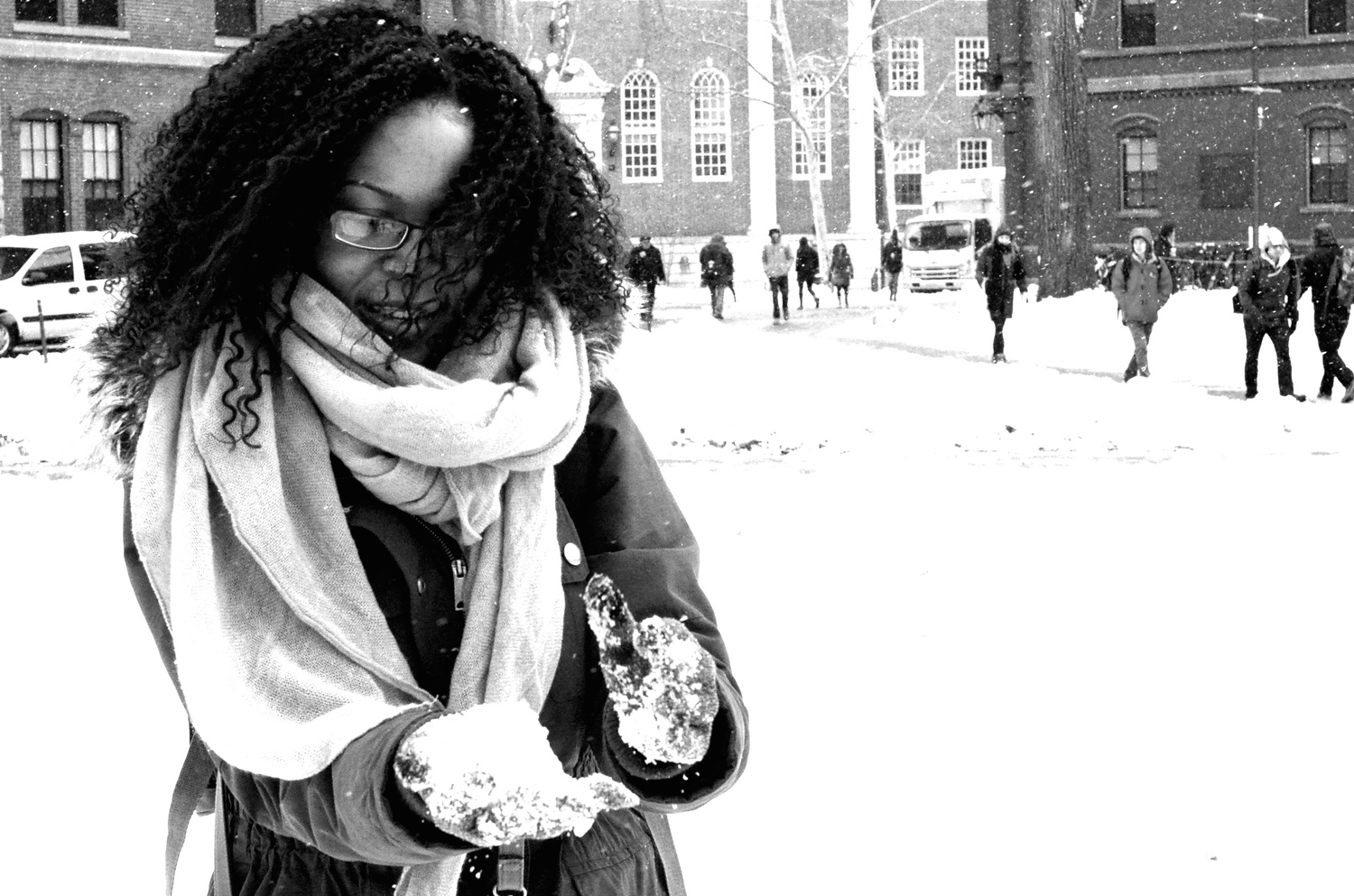 Snow Days // Snow Daze | Arts | The Harvard Crimson