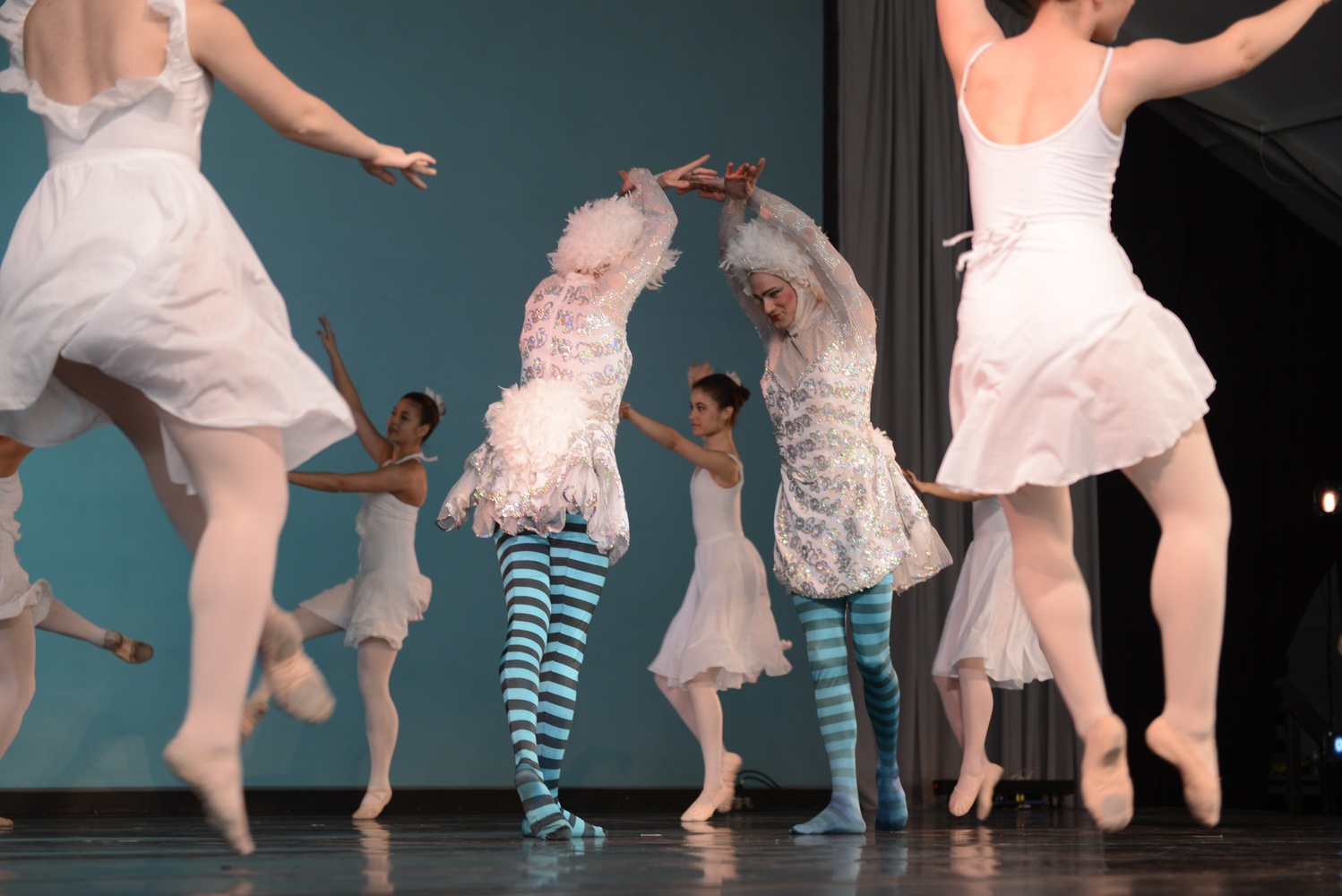 HPT Swan Lake | News | The Harvard Crimson