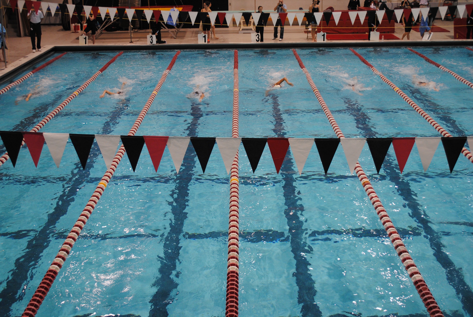 Women's Swimming and Diving Sweeps Penn and Brown | Sports | The ...