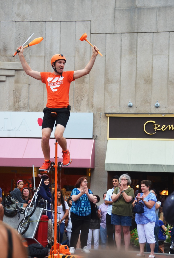 Wacky Chad | Multimedia | The Harvard Crimson