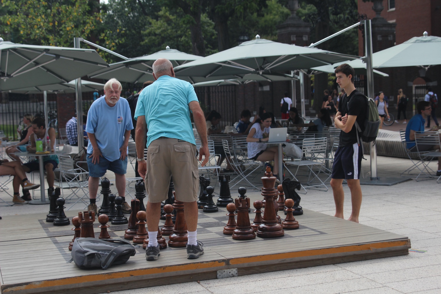Chess in the Plaza | News | The Harvard Crimson