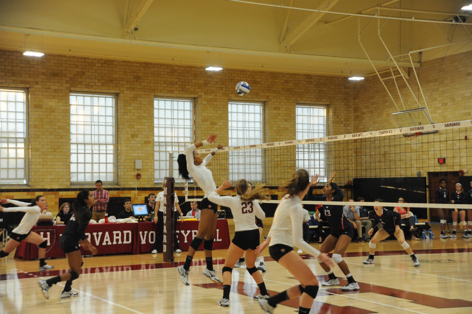 Women's Volleyball Travels to Yale, Brown in Pivotal Road Trip | Sports ...