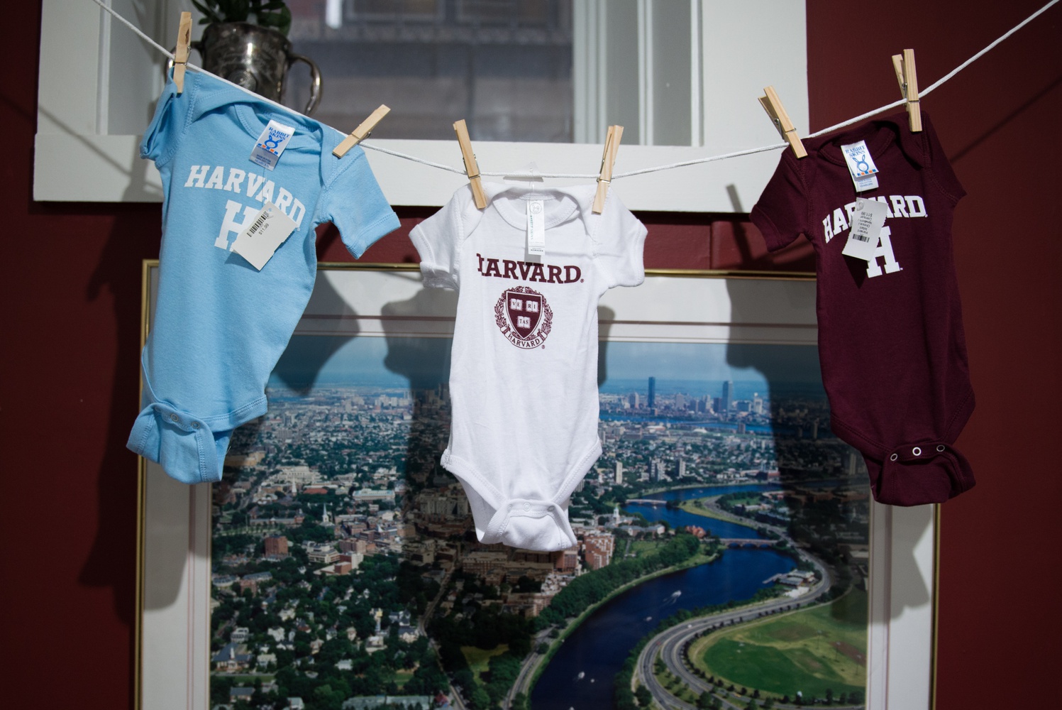 Baby Harvard | Magazine | The Harvard Crimson