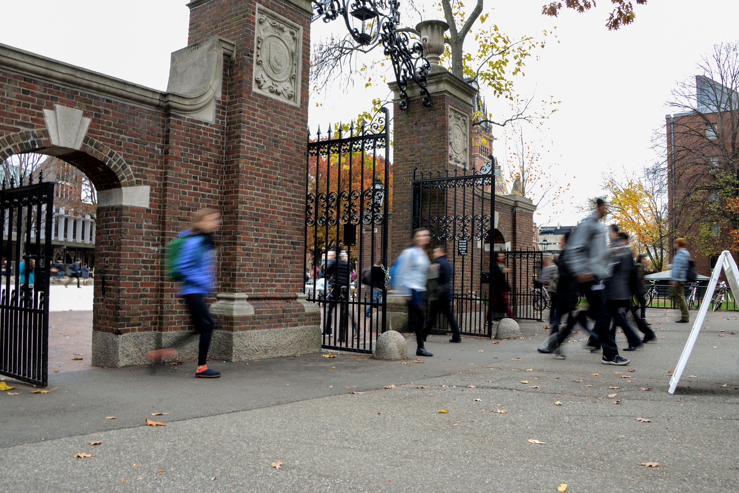 Meyer Gate | News | The Harvard Crimson