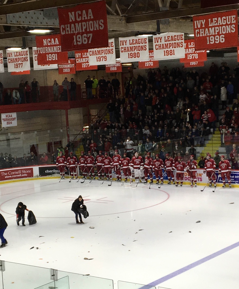 Flying Fish | Sports | The Harvard Crimson