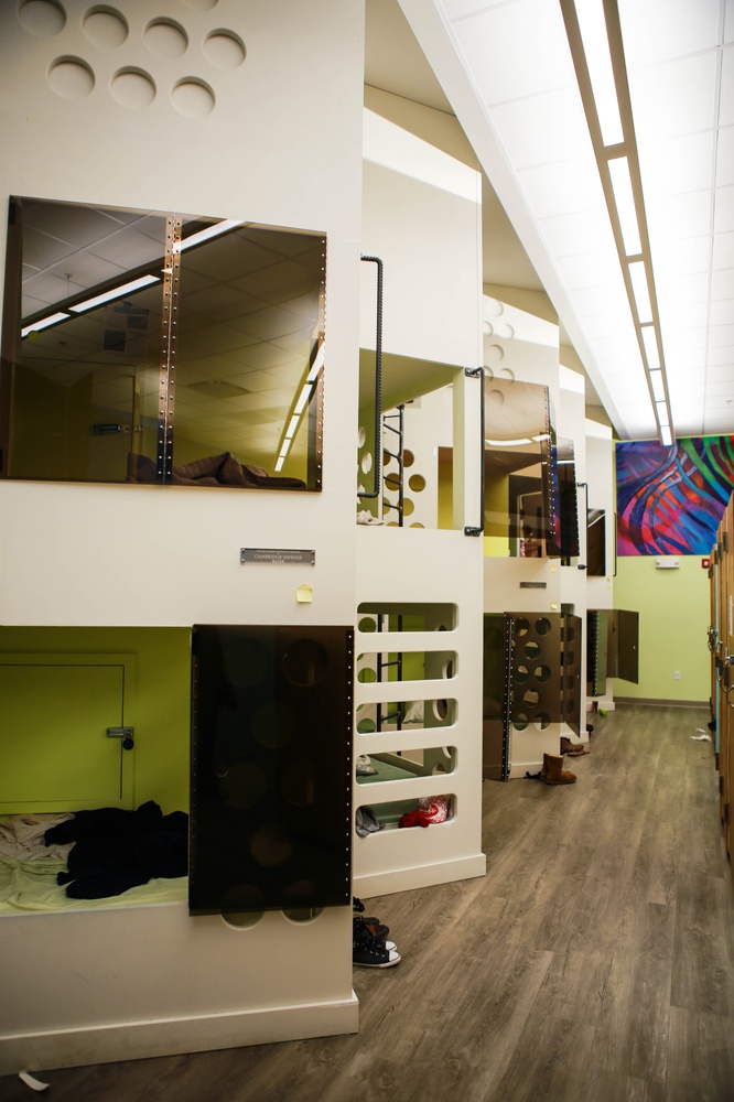 "Pods" | Magazine | The Harvard Crimson