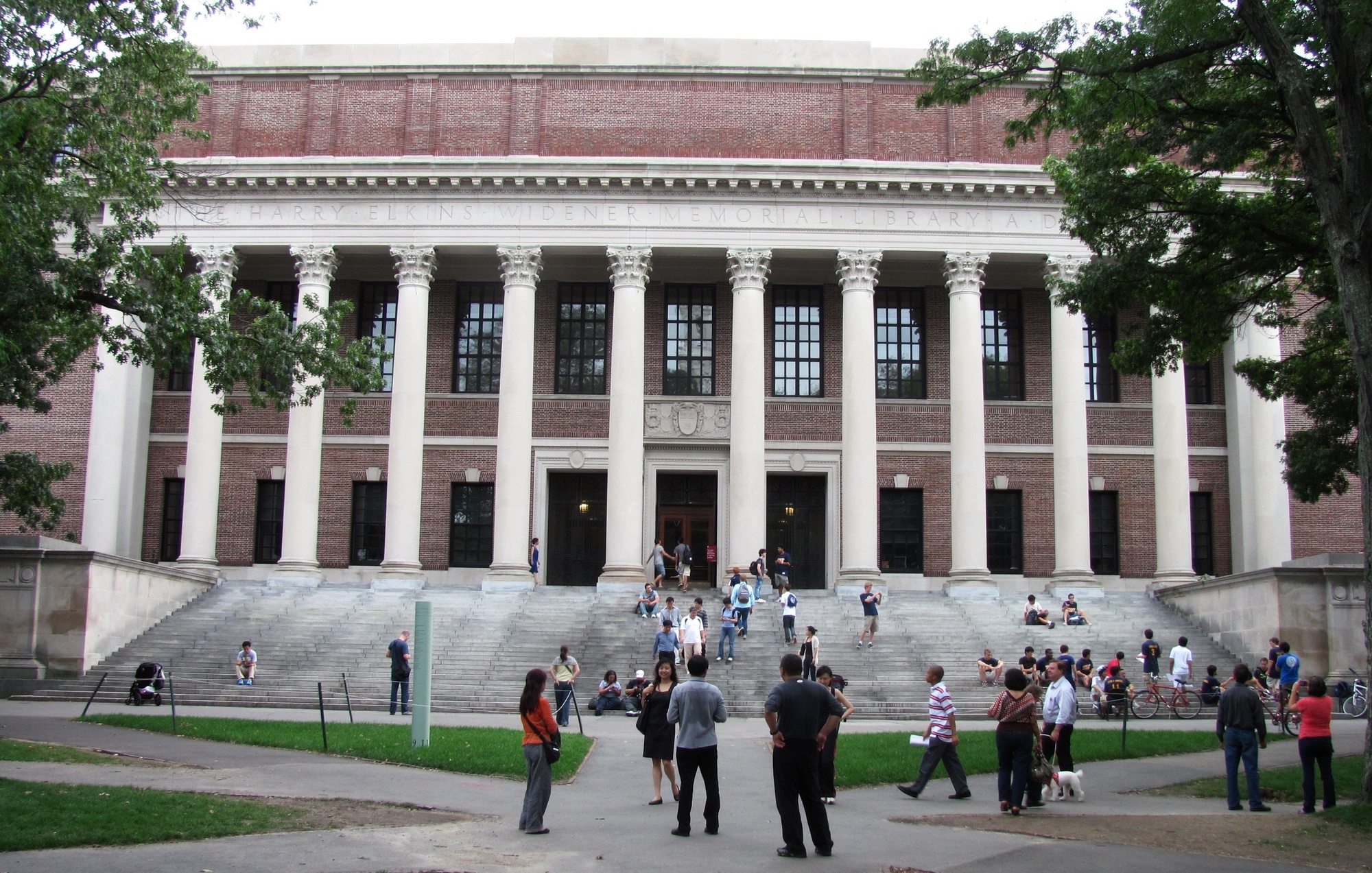 Artistic Guide to Harvard: Sunny Study Spots | Arts | The Harvard Crimson
