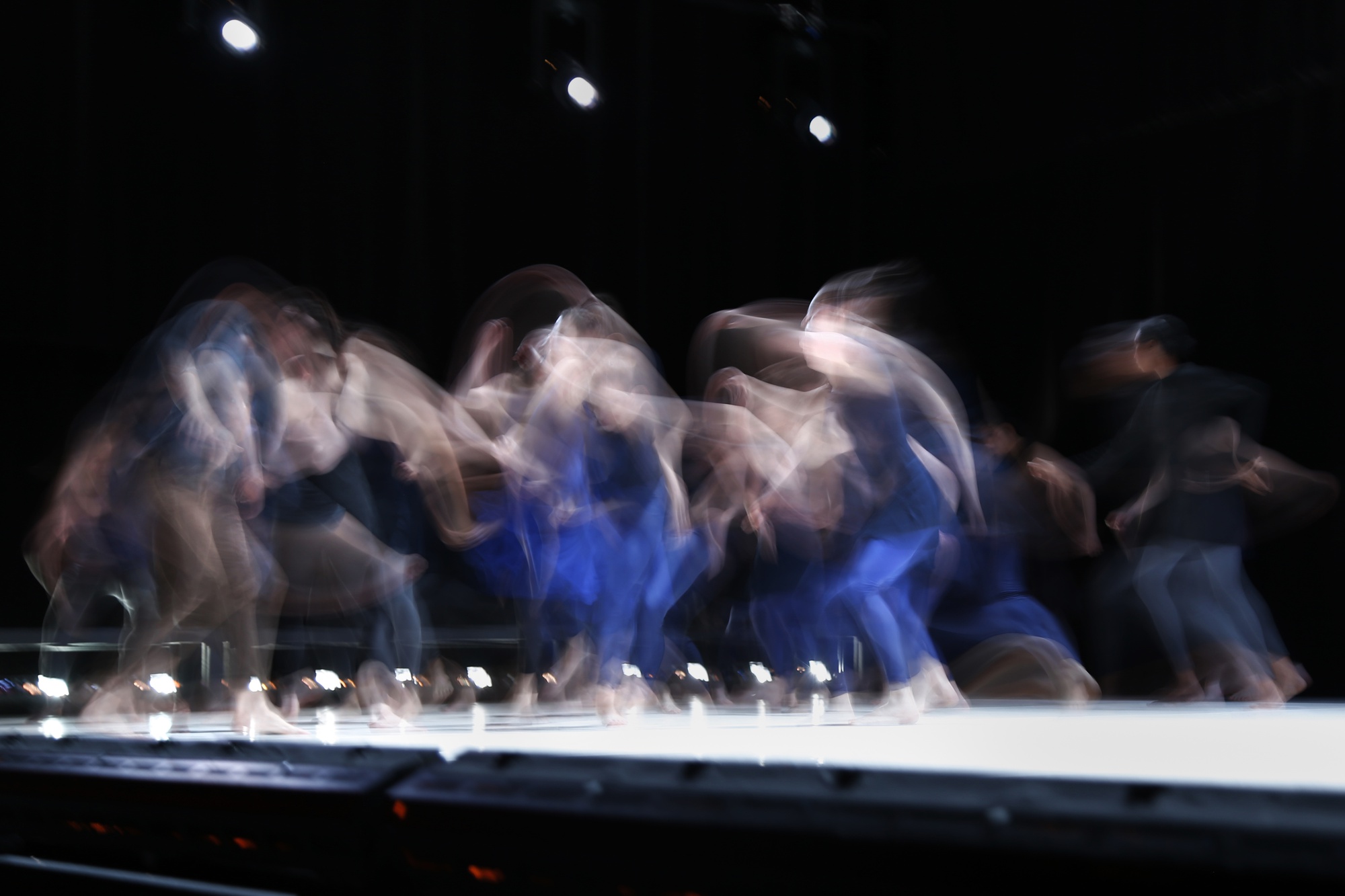The Harvard Dance Project Presents Interdisciplinary Answer to “What ...