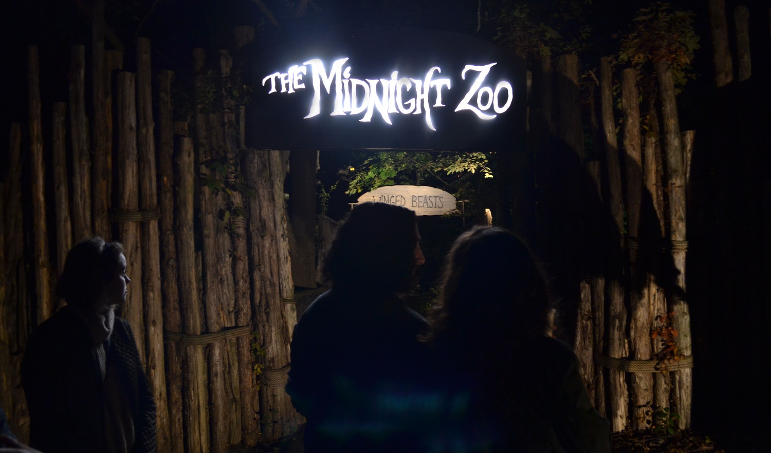 Midnight Zoo | Magazine | The Harvard Crimson