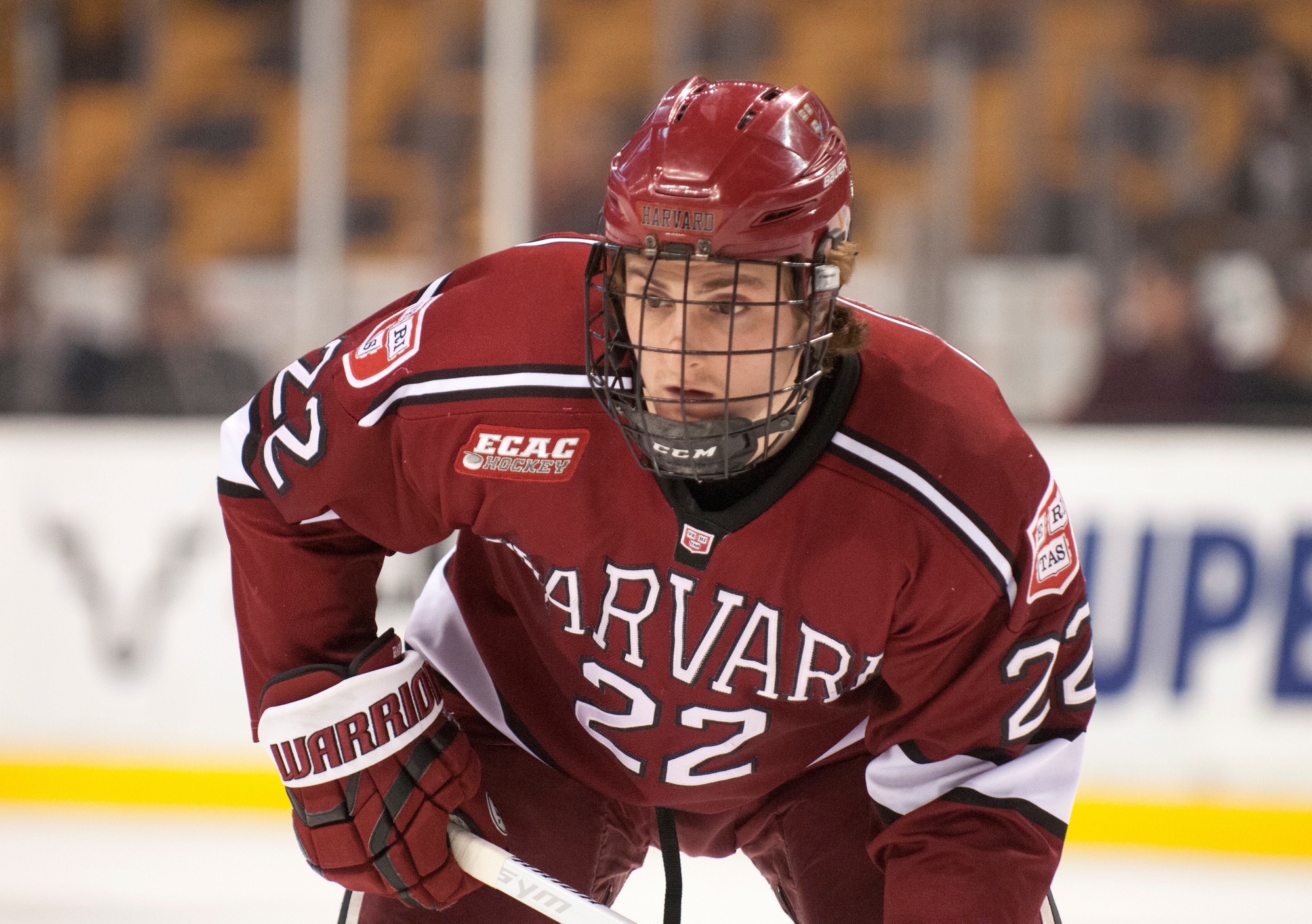 BRIEF: Tringale Nets Game-Winner in Final Period of Men's Hockey's Win ...