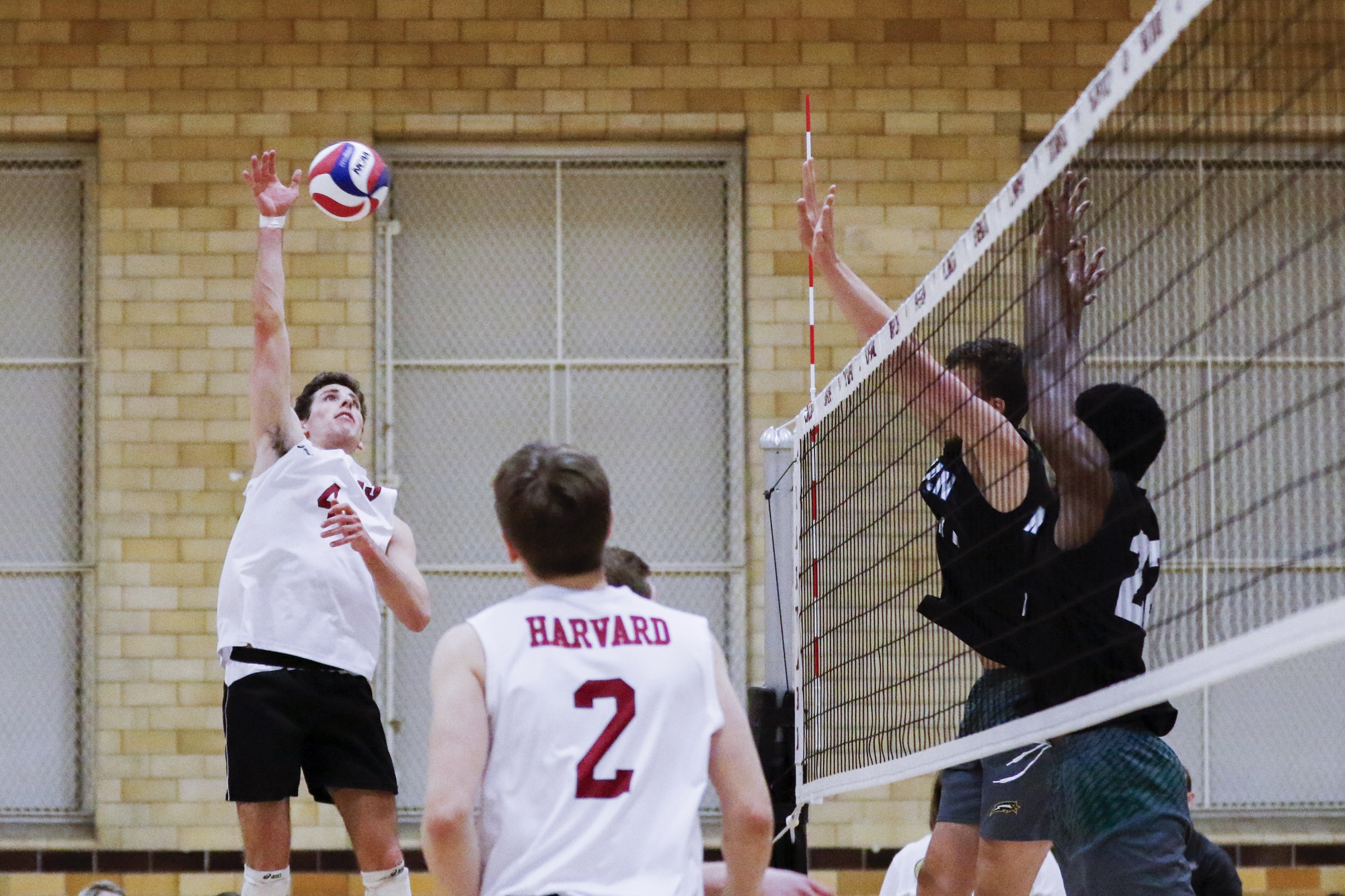 Men's Volleyball Splits Weekend Series | Sports | The Harvard Crimson