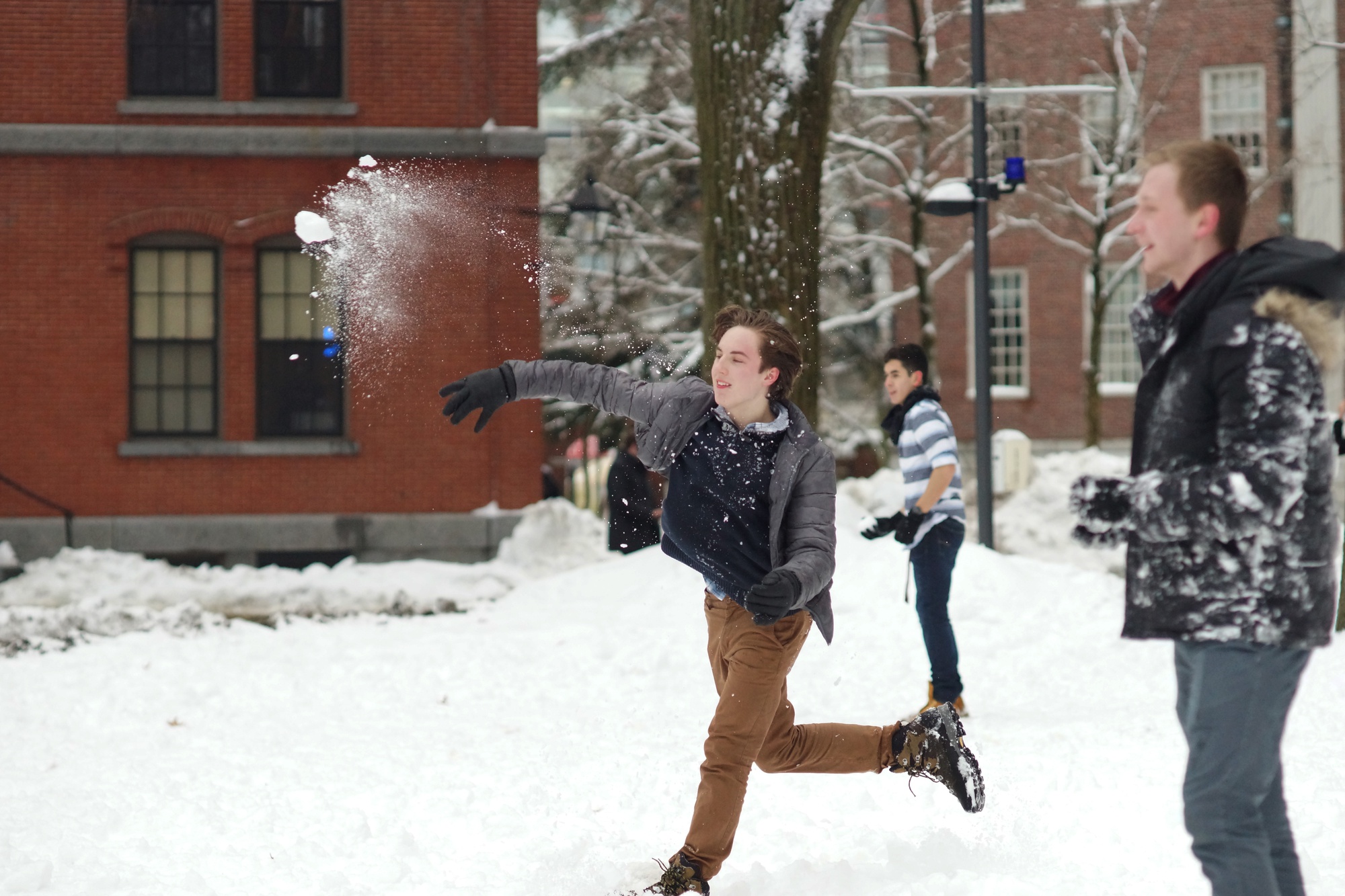 Students Partake in UC-Sponsored Snowball Fight | News | The Harvard ...