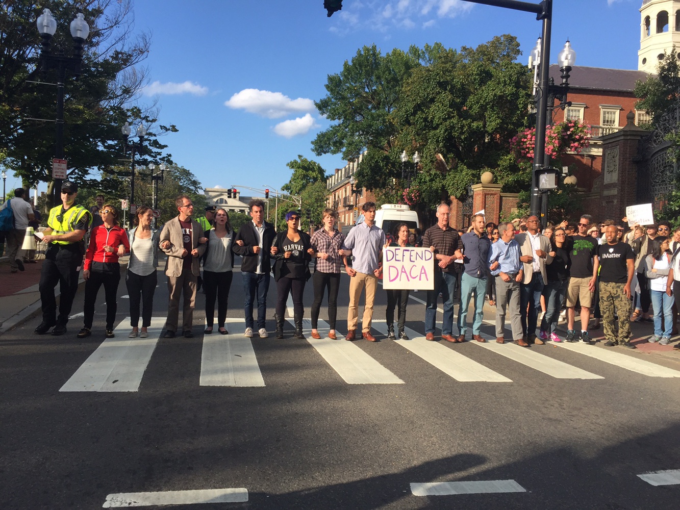 Professors Protest | Multimedia | The Harvard Crimson