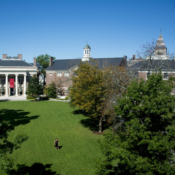 The Harvard Crimson | Features