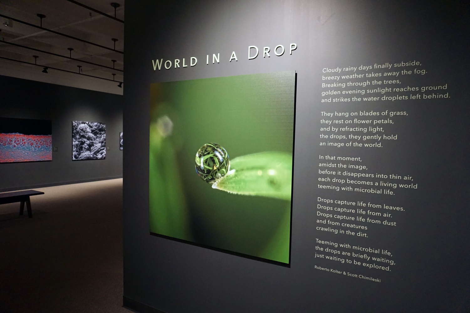 World In a Drop | News | The Harvard Crimson