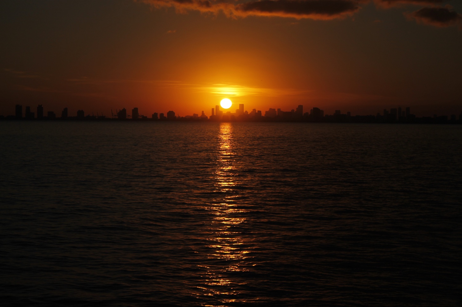 Sunset over Miami | Multimedia | The Harvard Crimson