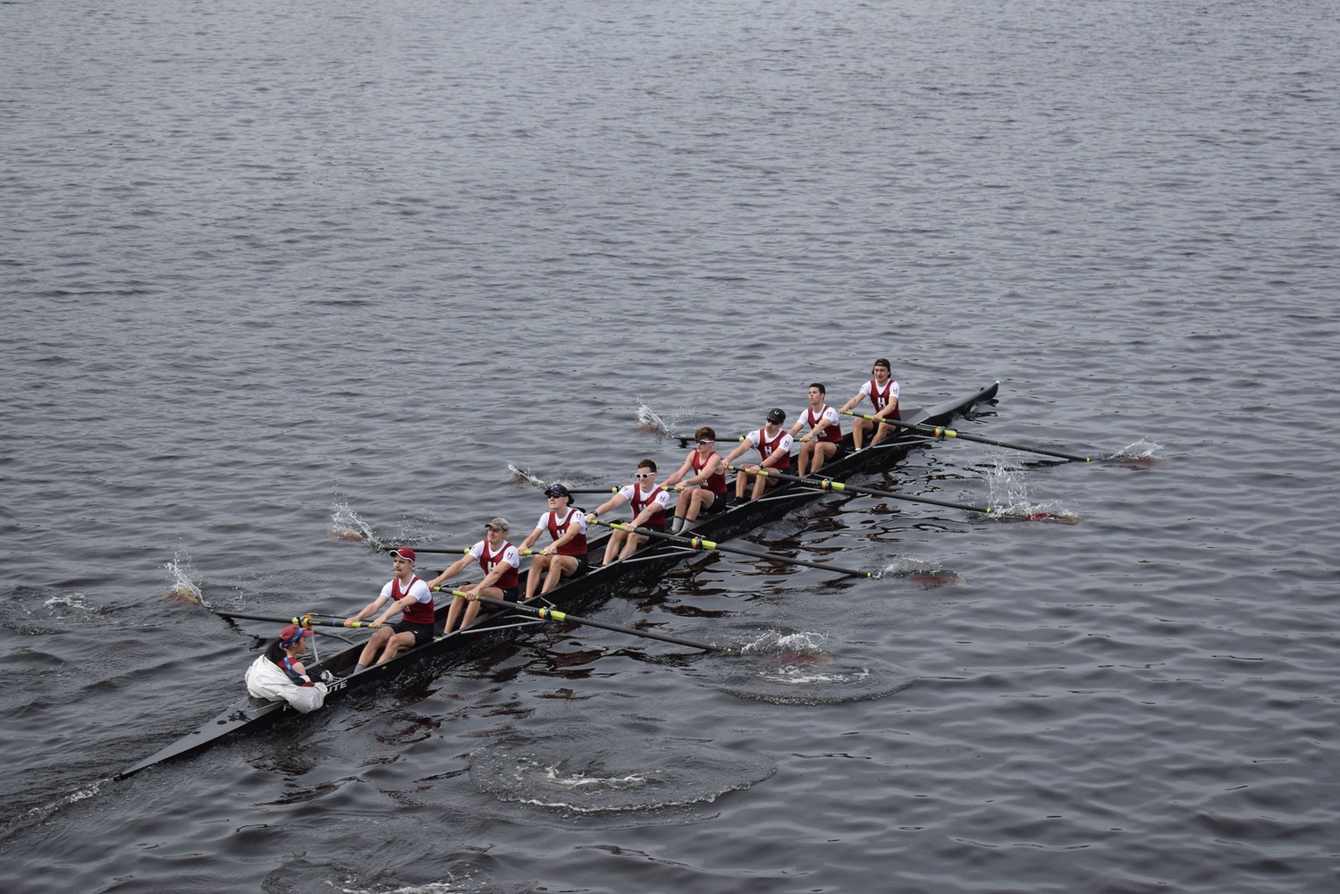 Dropping The Oars | Sports | The Harvard Crimson