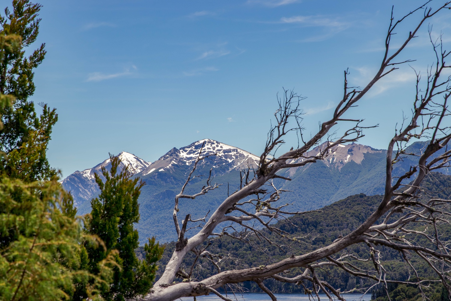 The Andes | Multimedia | The Harvard Crimson