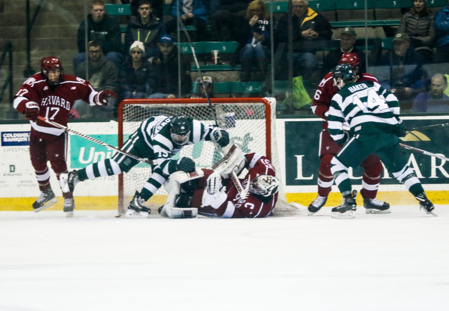 Tender, Beware | Sports | The Harvard Crimson