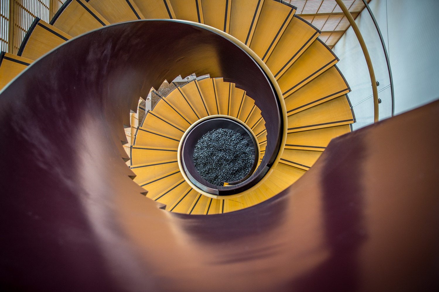 Spiral Staircase in CGIS | Multimedia | The Harvard Crimson