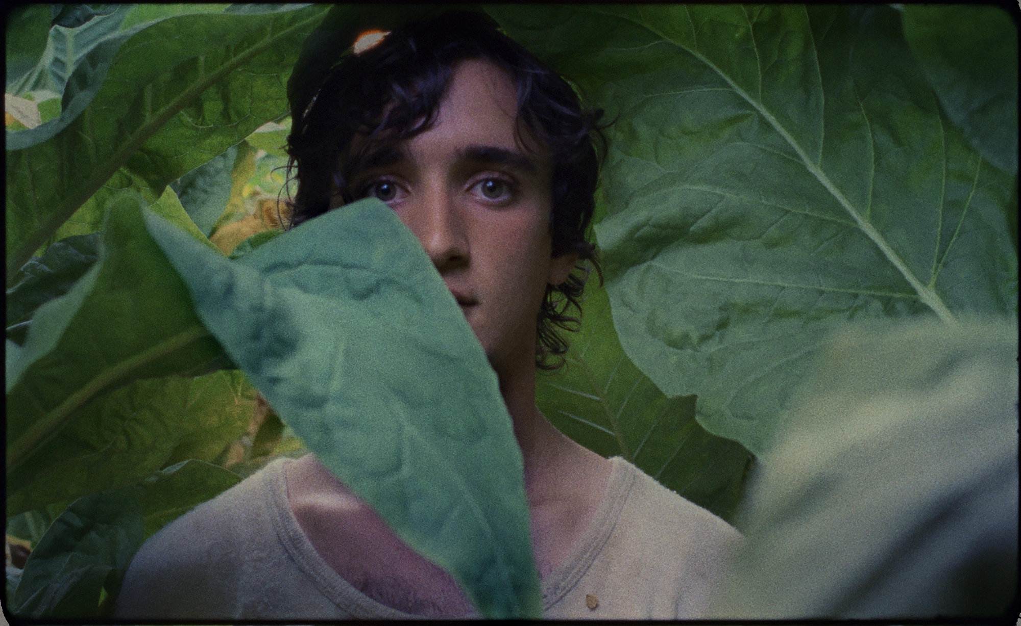 From Cannes: ‘Lazzaro Felice’ (‘Happy as Lazzaro’): A Sad, Mythological ...