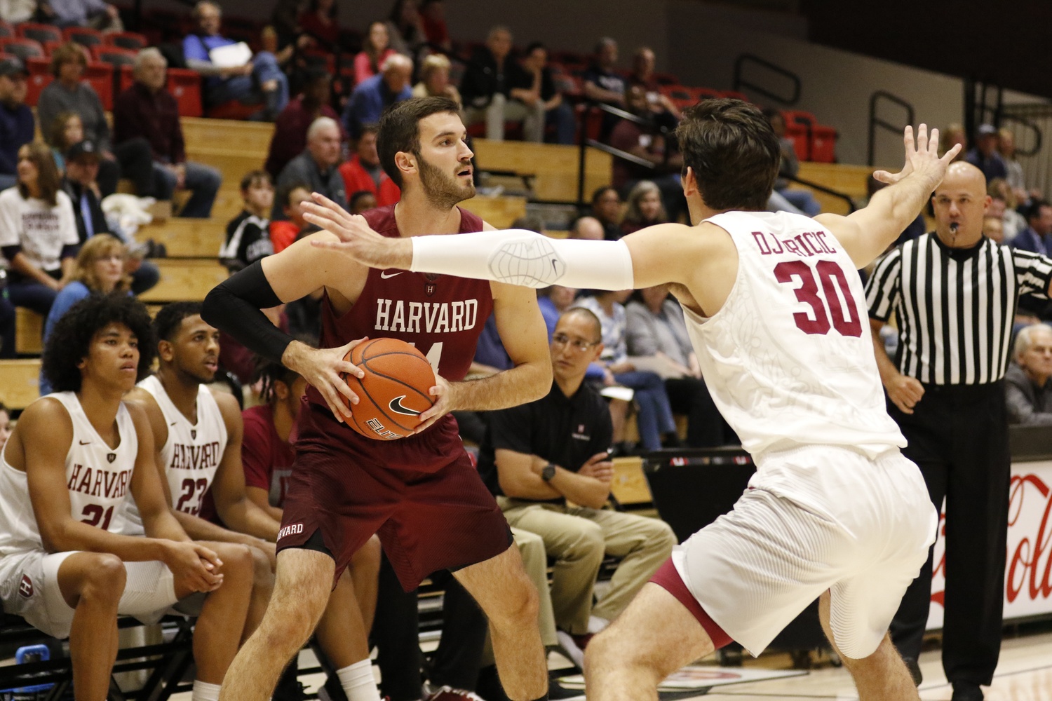 Balsa of Fury | Sports | The Harvard Crimson