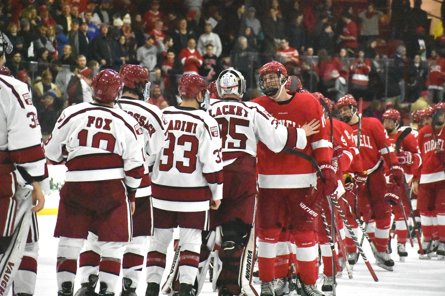 Back for Revenge | Sports | The Harvard Crimson