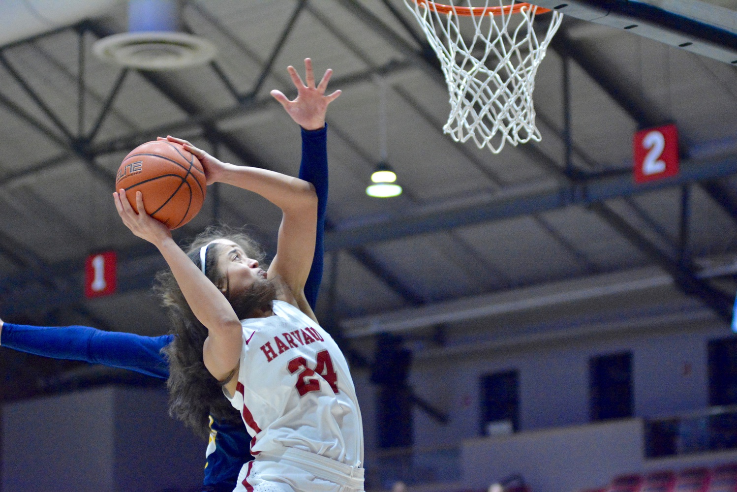 Grabbing it Down | Sports | The Harvard Crimson