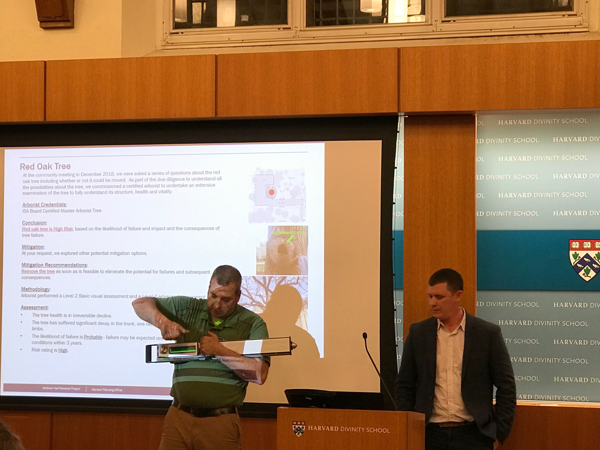 New Assessment Recommends Removing Century-Old Tree at Harvard Divinity ...