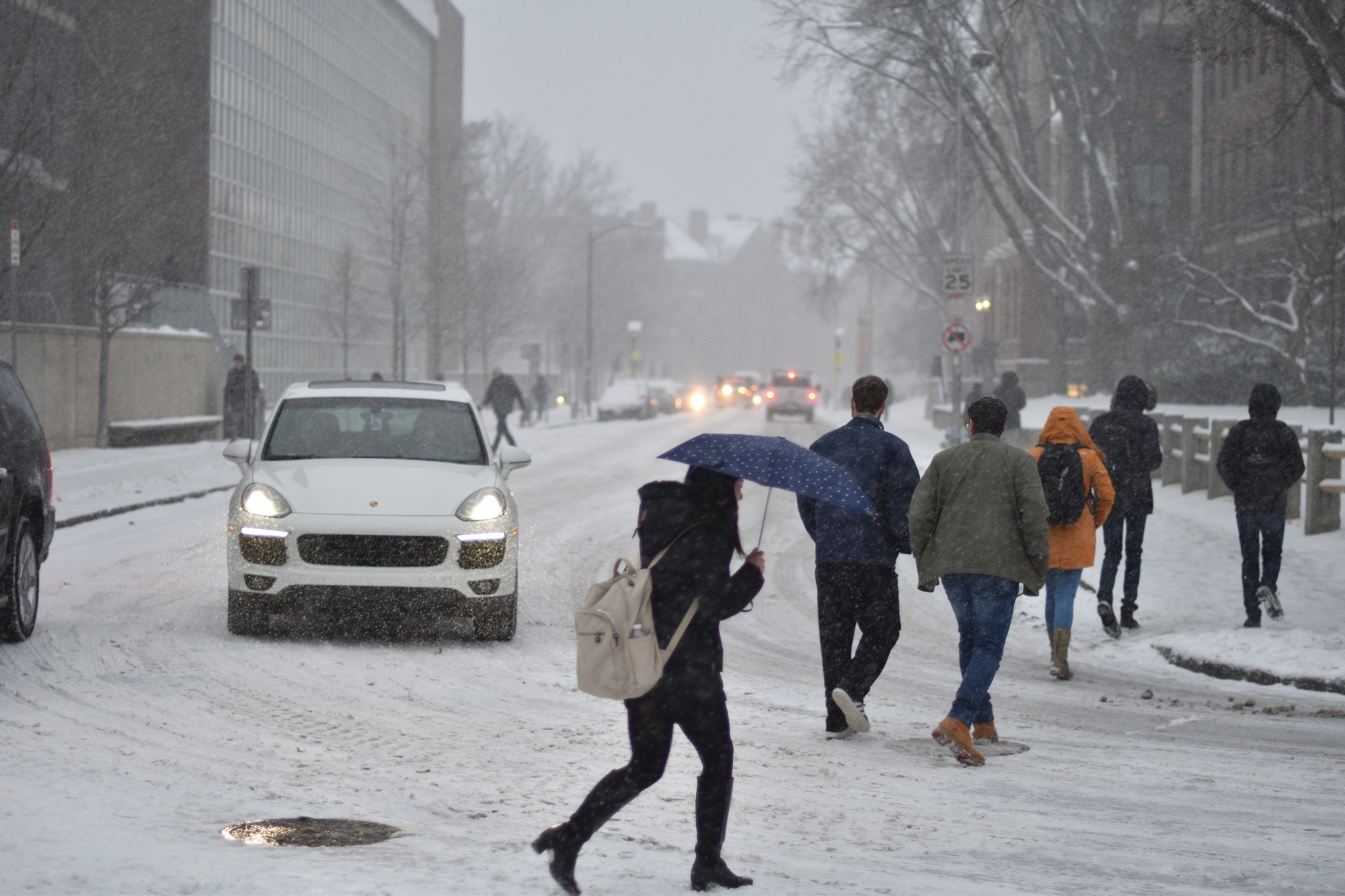 Thank You, Harvard Landscape Maintenance | Opinion | The Harvard Crimson
