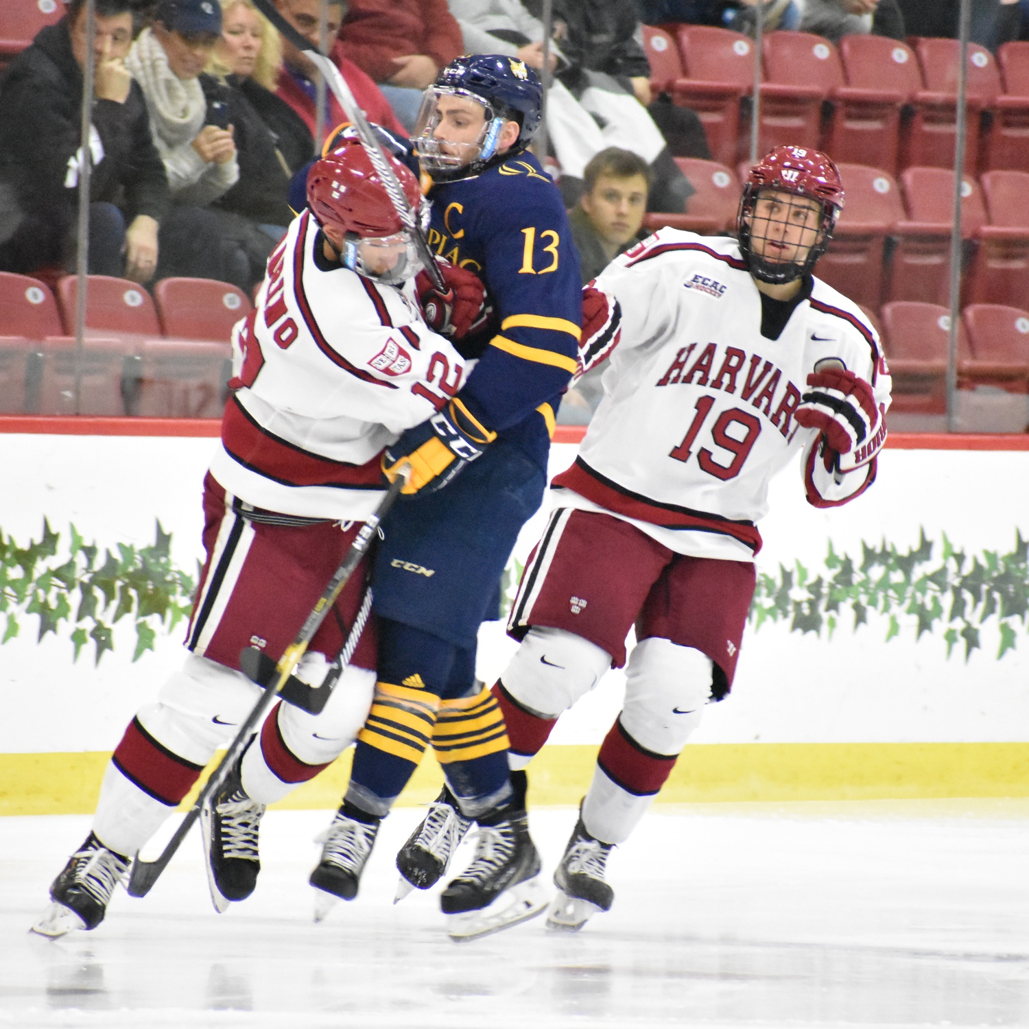 Men's Hockey In Photos: The 2018-2019 Regular Season | Sports | The ...