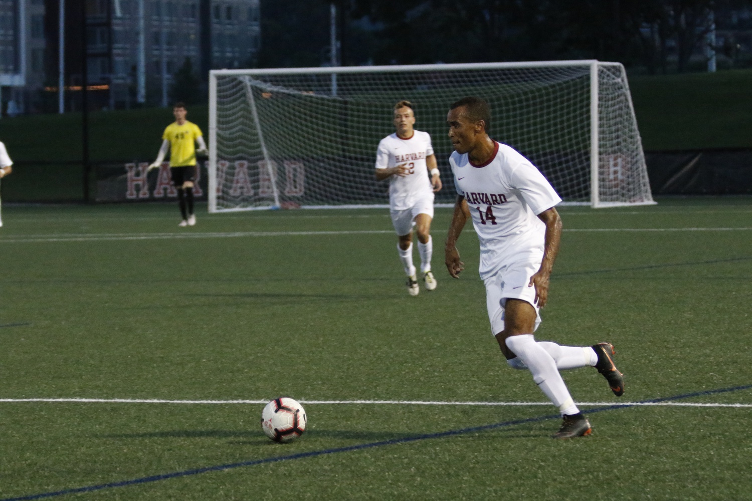Seeking Scores | Sports | The Harvard Crimson