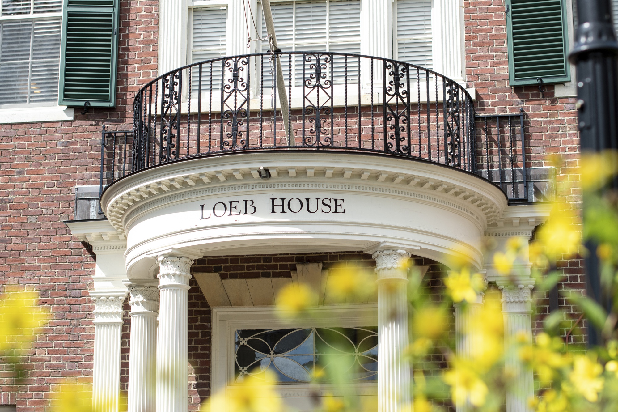 Harvard Forward Releases Policy Platform on Climate Justice and ...