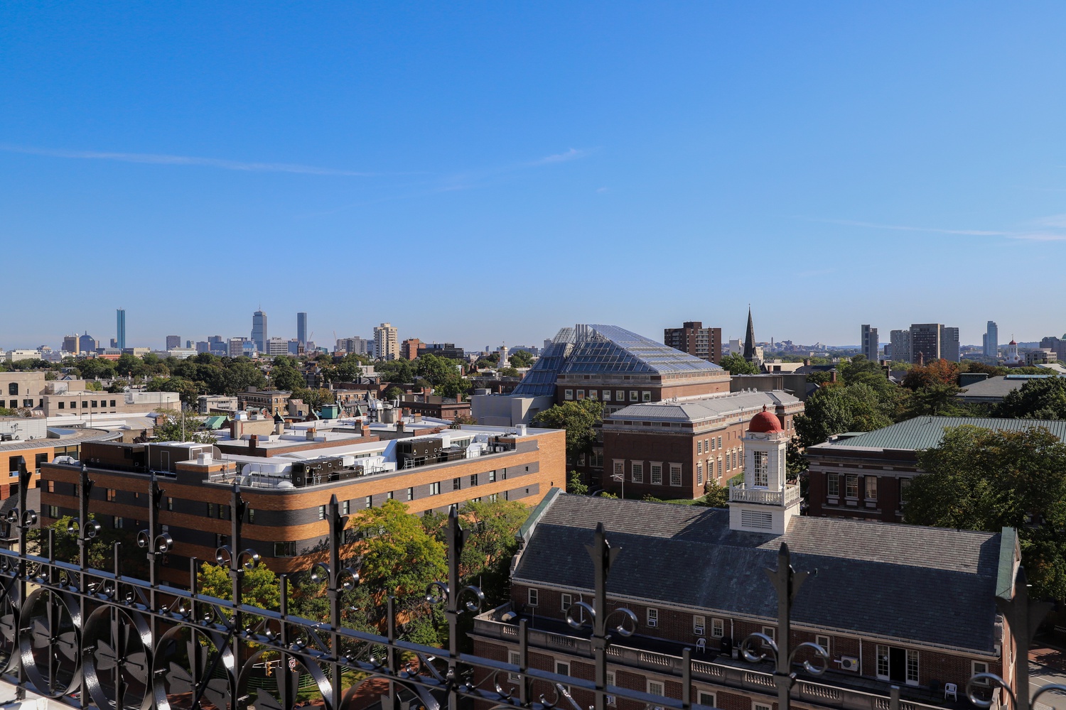 View from Annenberg Roof | Magazine | The Harvard Crimson