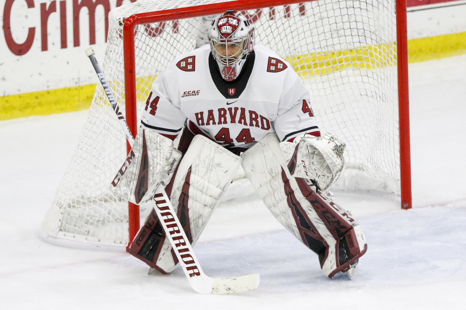 Mitch Behind the Mask | Sports | The Harvard Crimson