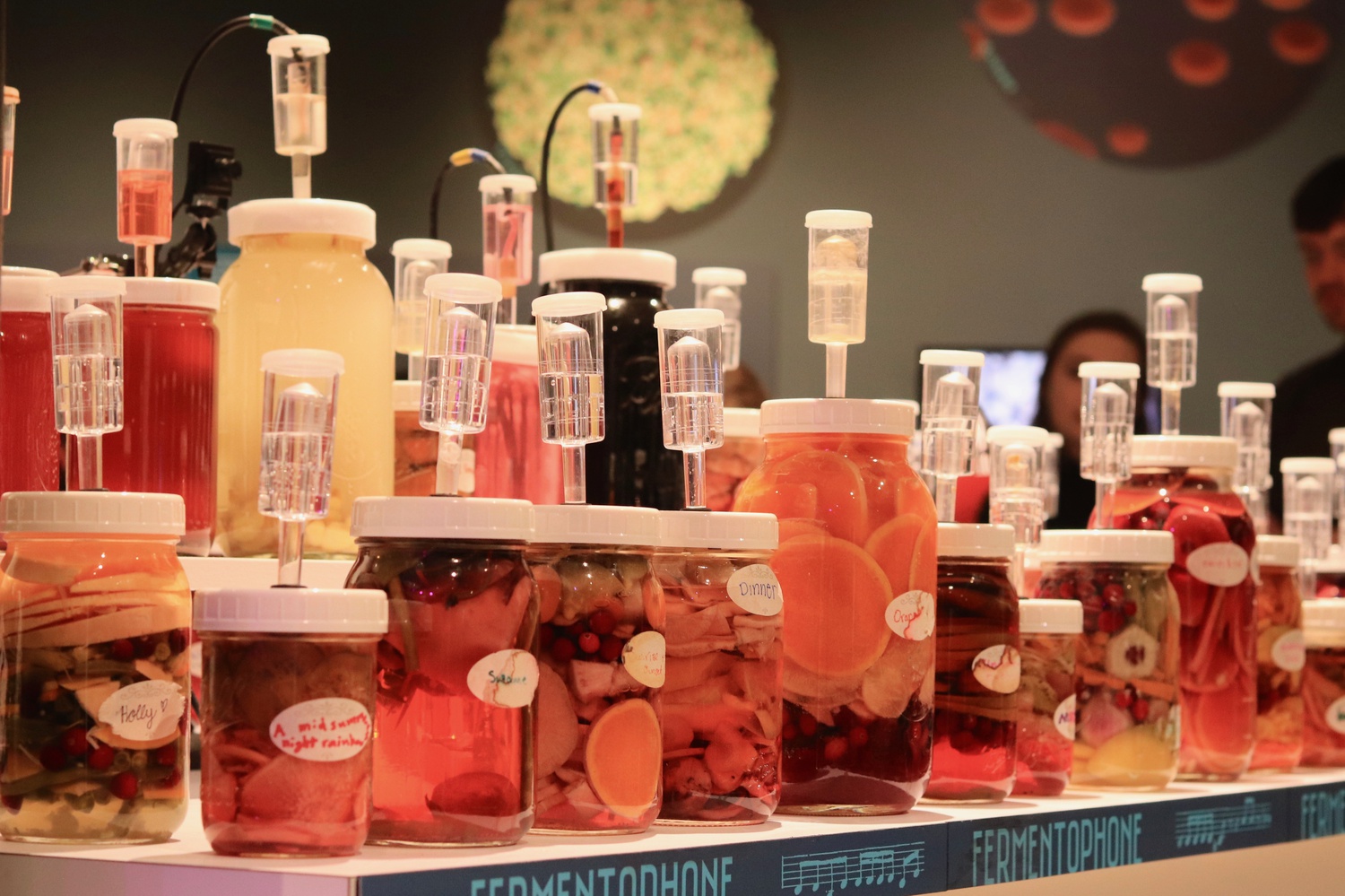 Fermentophone jars | Magazine | The Harvard Crimson