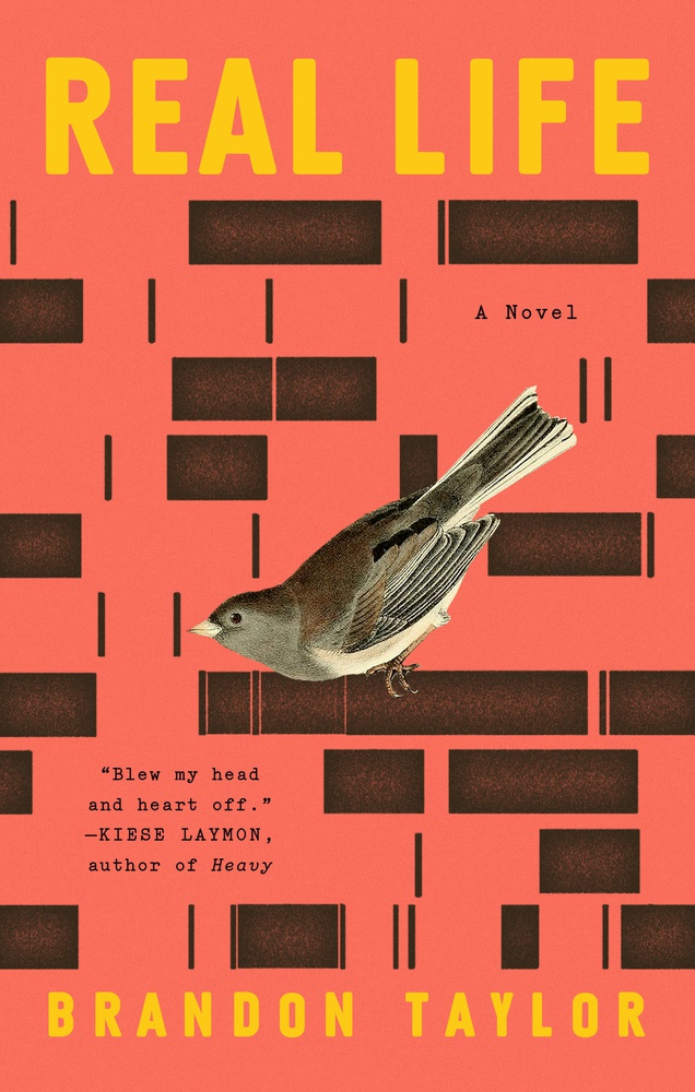"Real Life" cover art | Arts | The Harvard Crimson