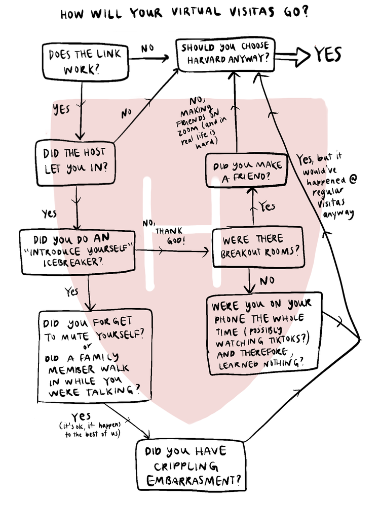 flowchart virtual visitas design | Flyby | The Harvard Crimson