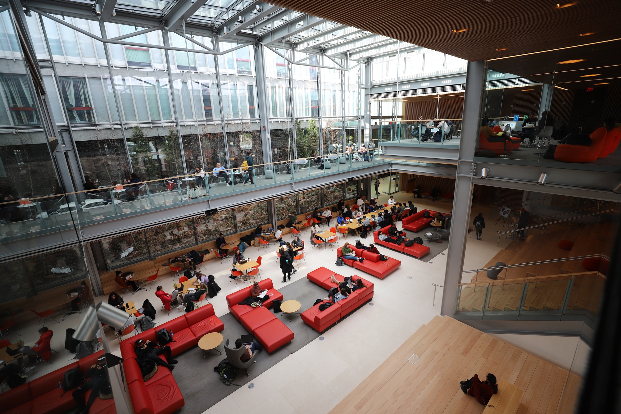 Harvard Needs A Nap | Opinion | The Harvard Crimson