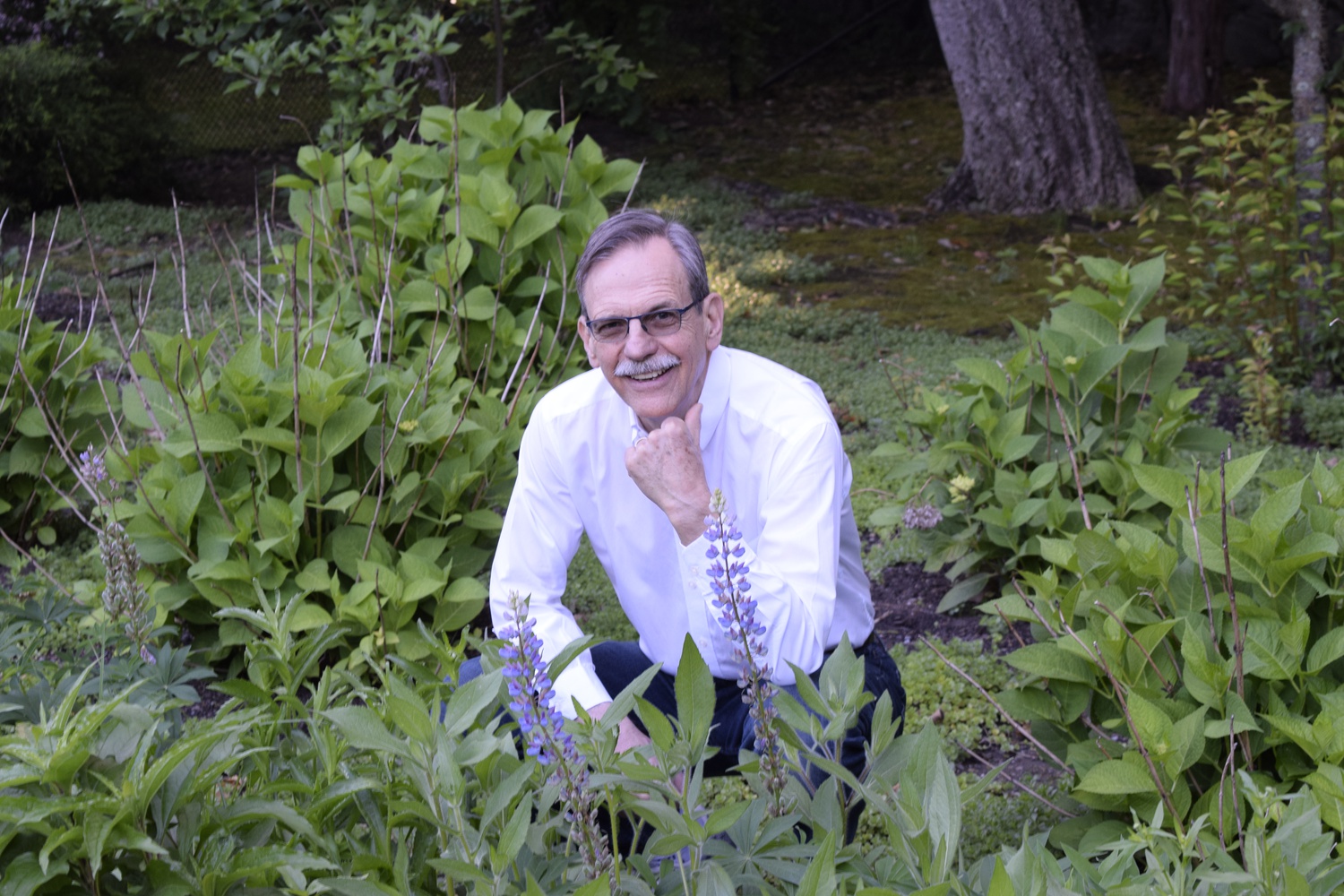 Timothy Springer Portrait | Magazine | The Harvard Crimson