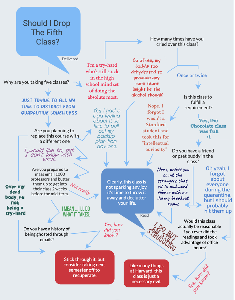 Fifth Class Flowchart | Flyby | The Harvard Crimson