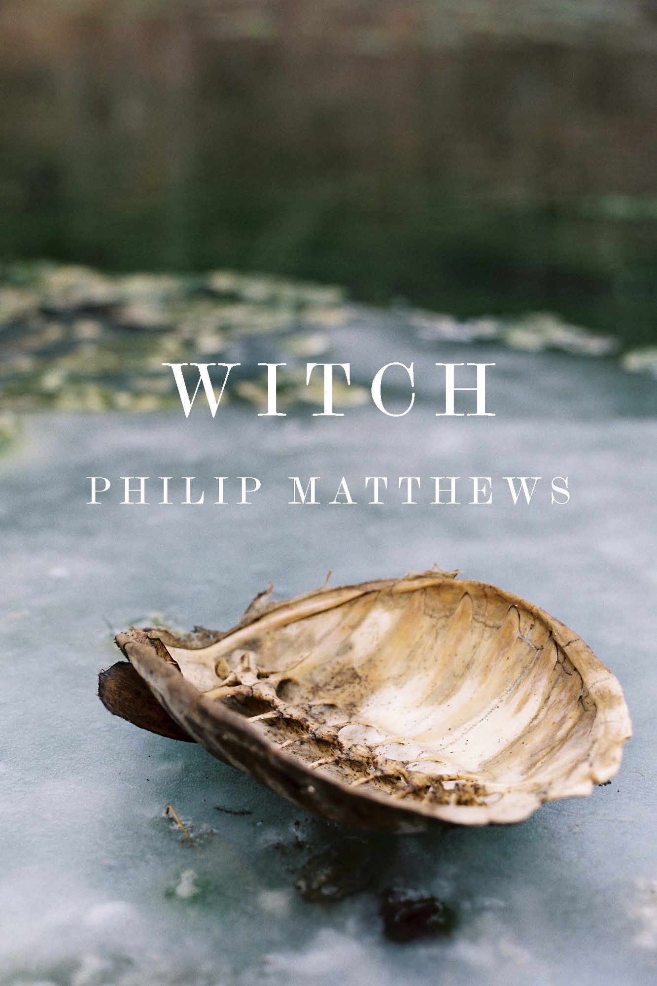 ‘Witch’: A Collection of Poetry Too Cryptic to Be of Any Use | Arts ...