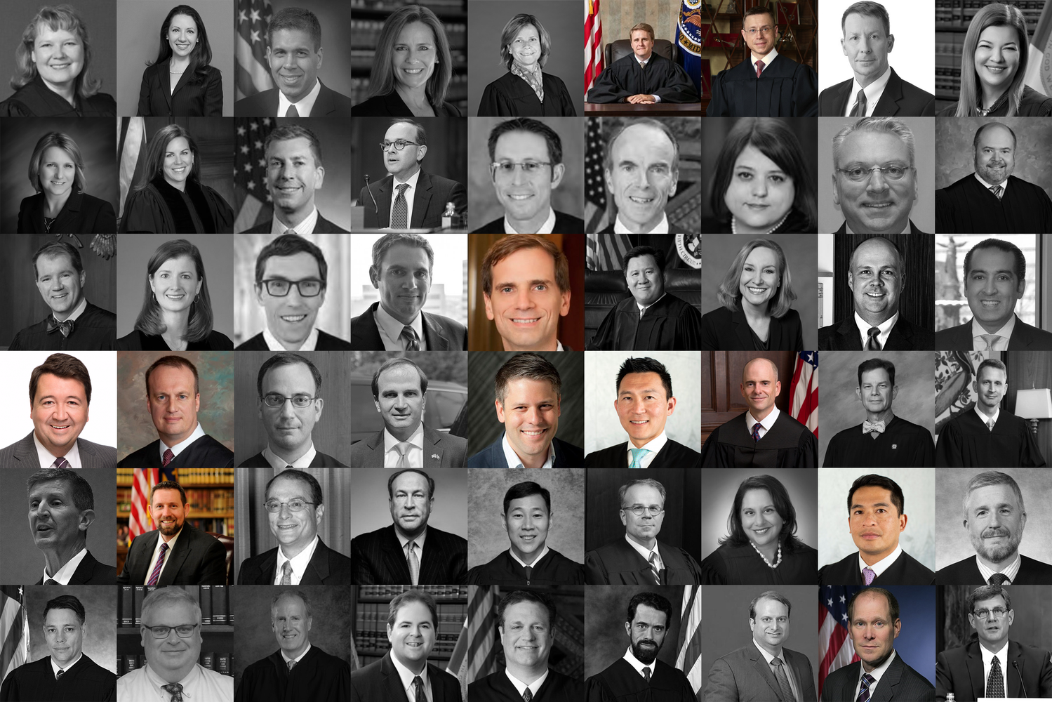 HLS Federalist Society Trump Appointees | Magazine | The Harvard Crimson