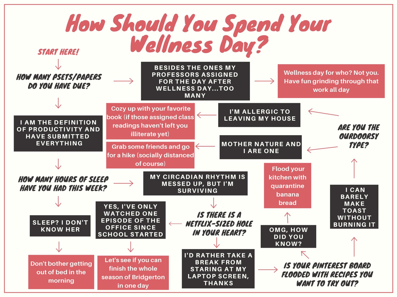 wellness day flowchart | Flyby | The Harvard Crimson