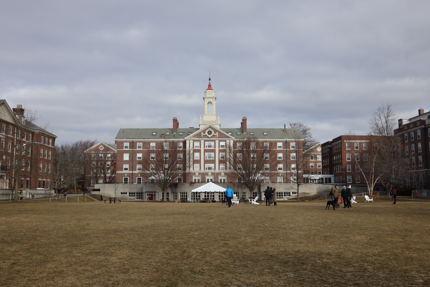 Pfoho Bell Tower Housing Market 2021 | Multimedia | The Harvard Crimson