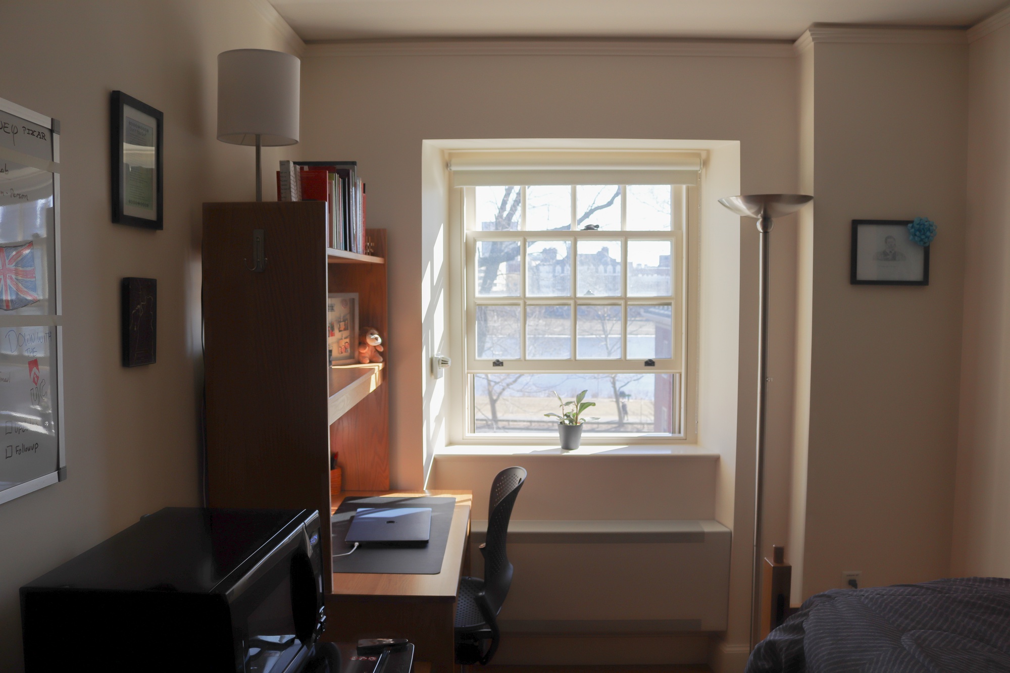 Of Rats and Harvard Men | Opinion | The Harvard Crimson