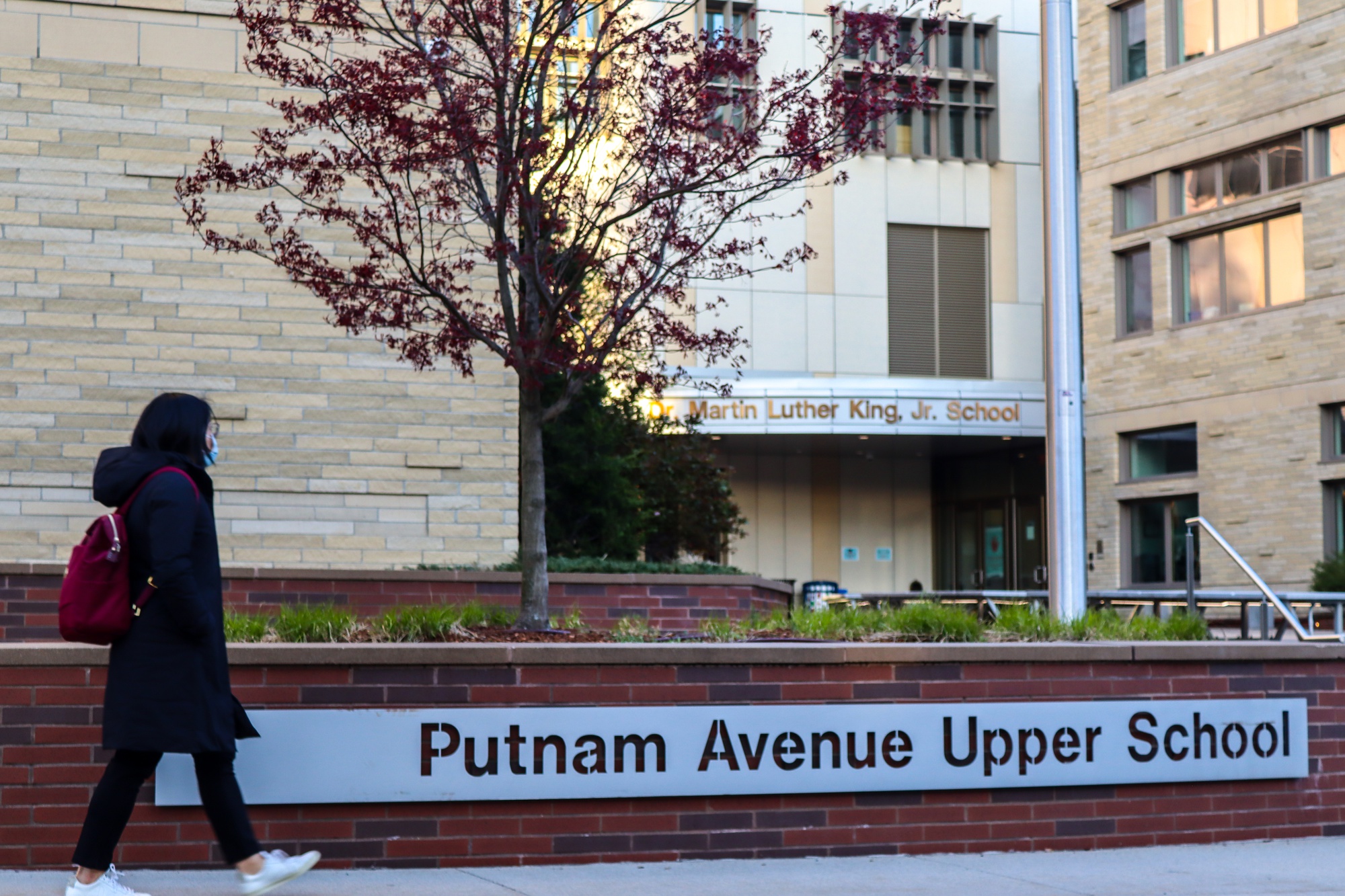 CPS School Committee Likely to Consider Expanding Algebra Curriculum ...