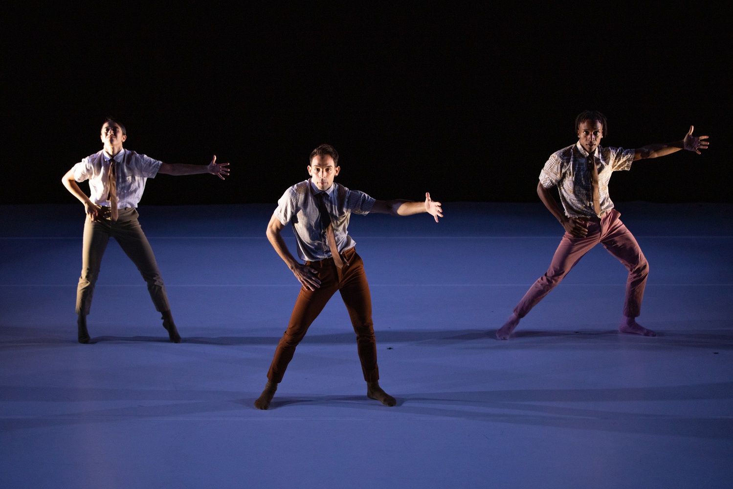 BDT-image | Arts | The Harvard Crimson