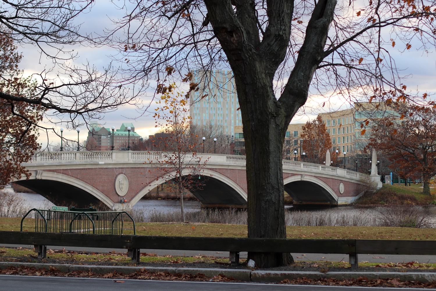 Weeks Bridge | Magazine | The Harvard Crimson